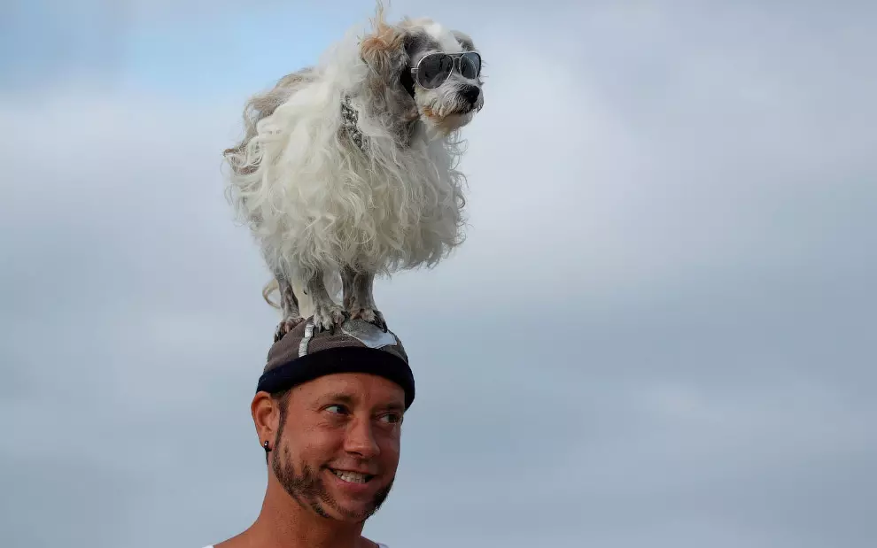 Surfing Dog en California 2019 1951_12