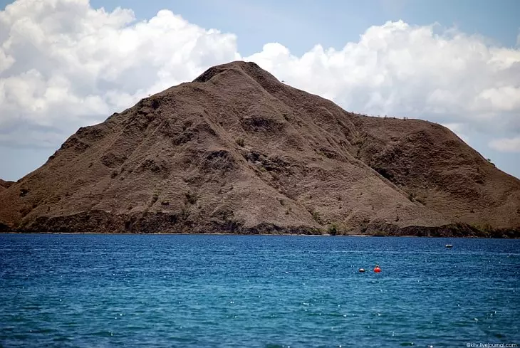 Île de Komodo 1963_2