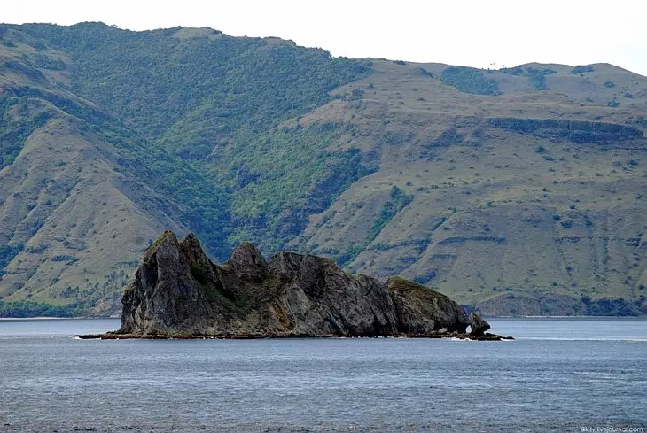 Île de Komodo 1963_3