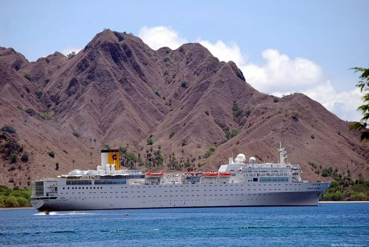 Île de Komodo 1963_5