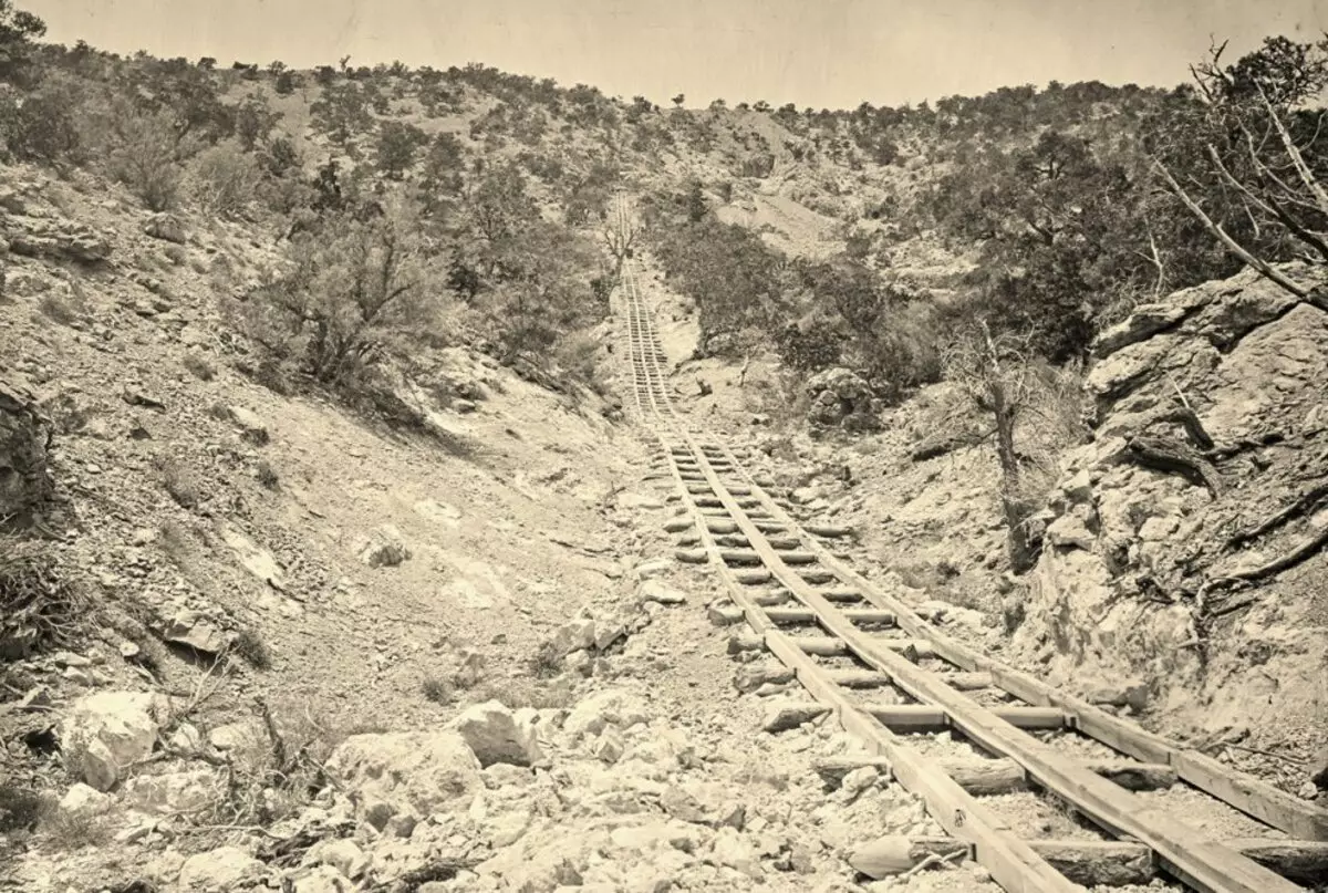 Wild West Nature il y a 150 ans 1982_13