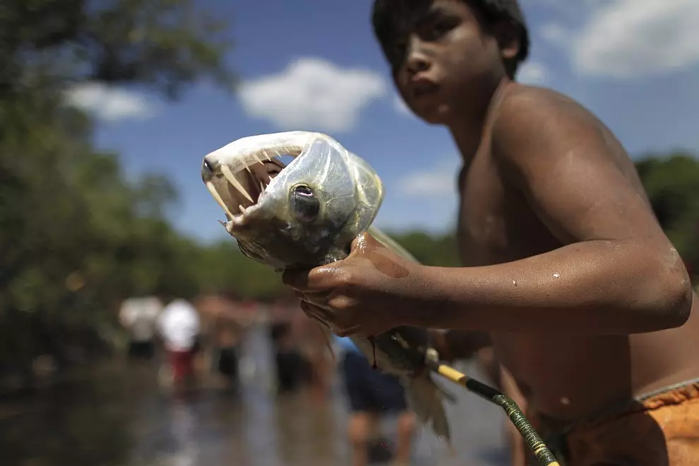 Kahirupan suku di Basin Amazon 2012_5