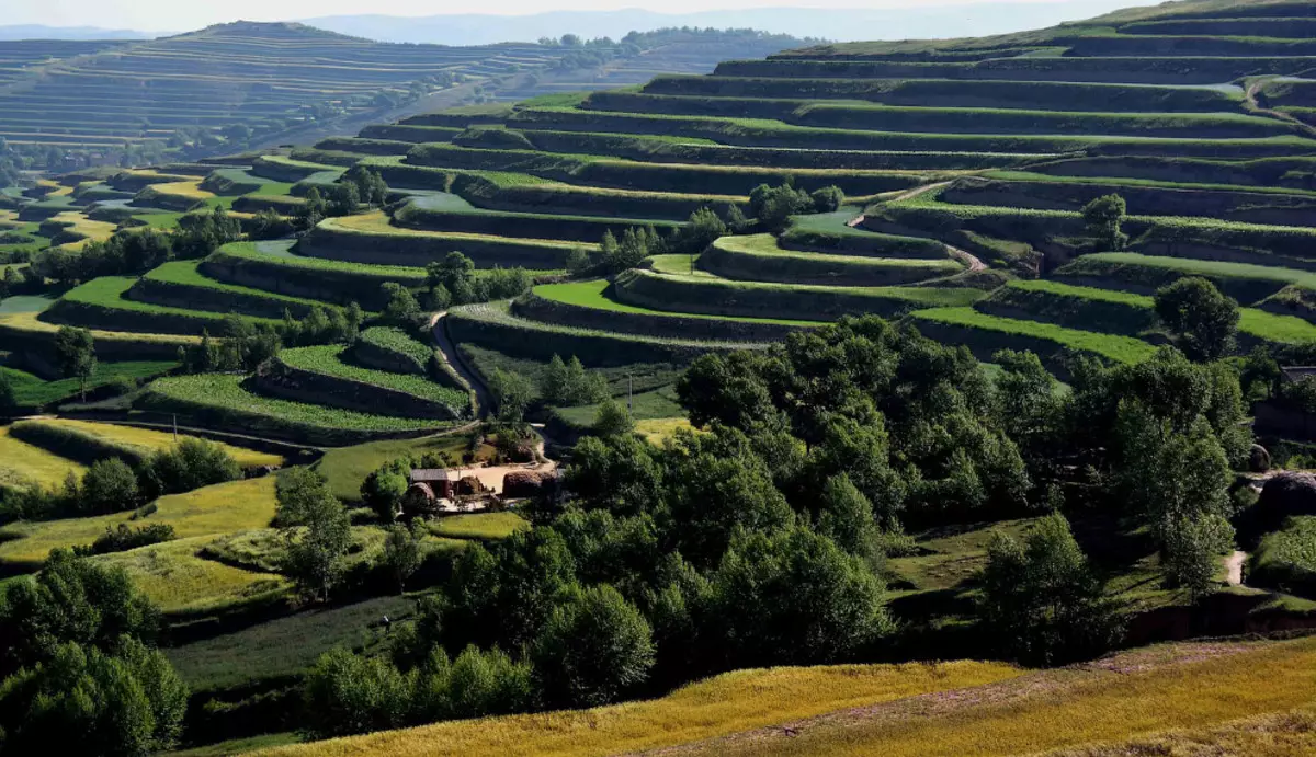 Nzvimbo dzekurima kune Gansu Province