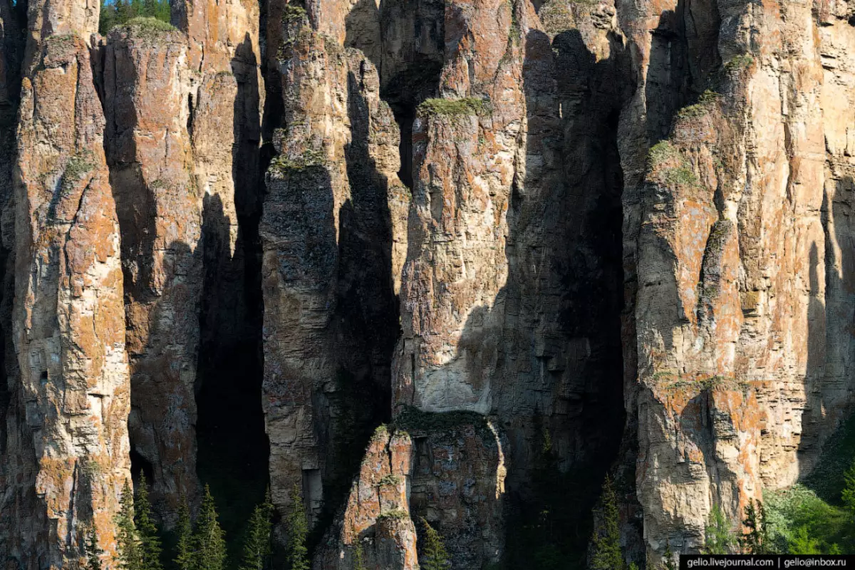 Lensky stupovi - Stone šume Yakutia 2104_11