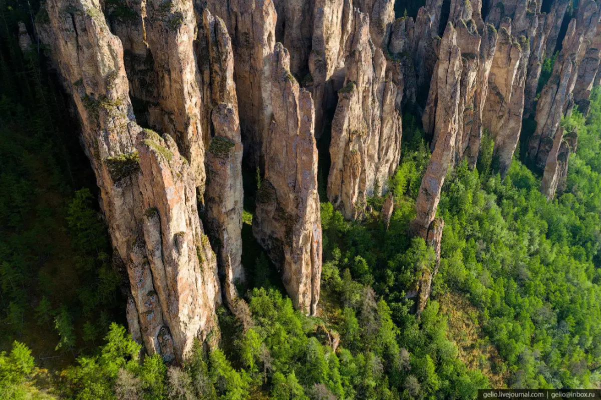 Stâlpii lenți - Pădurea de piatră din Yakutia 2104_13