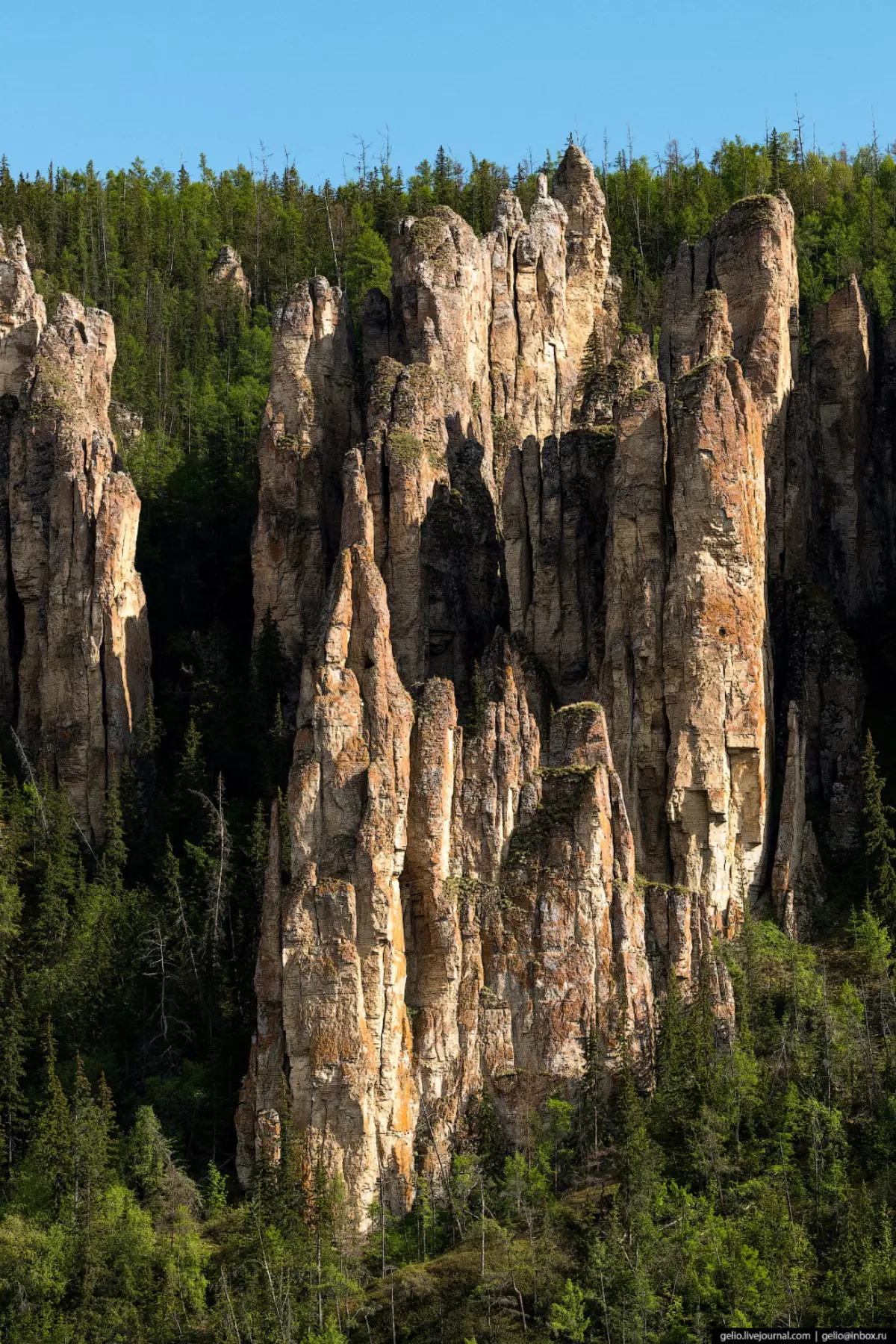 Pilares Lensky - El bosque de piedra de Yakutia 2104_14