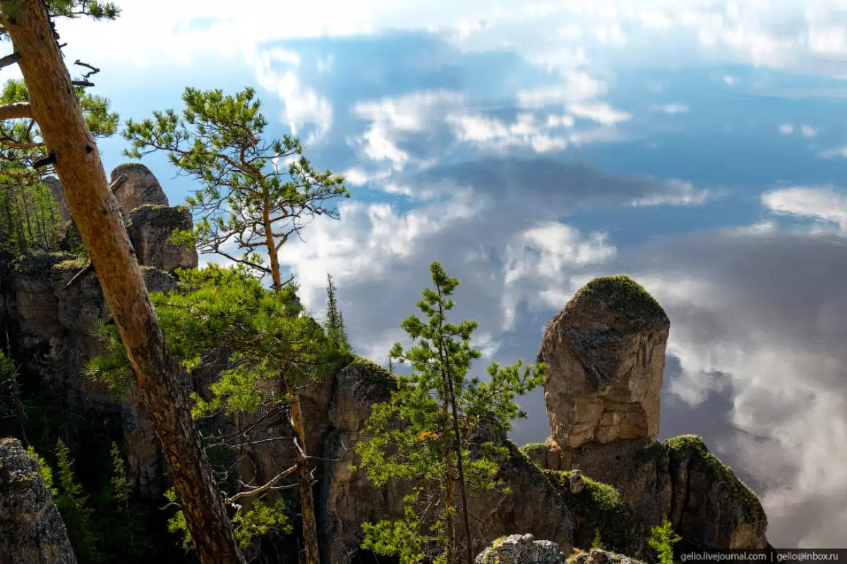 Pilares Lensky - El bosque de piedra de Yakutia 2104_17