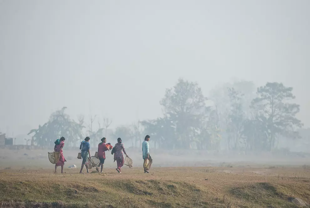 Likarolo tsa ho tšoasa litlhapi India 2126_10