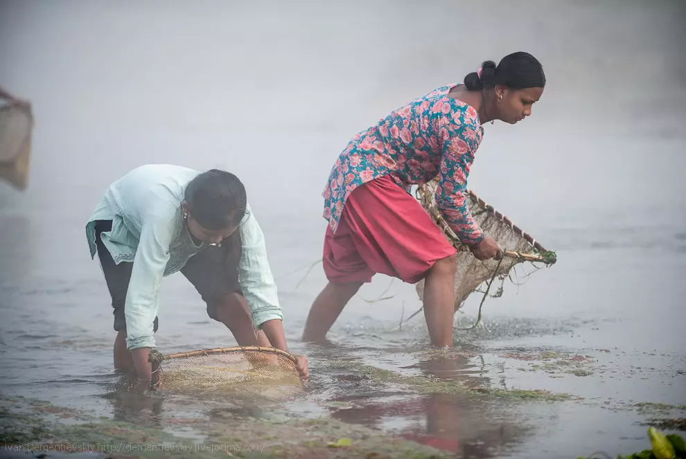 भारत में मछली पकड़ने की विशेषताएं 2126_4