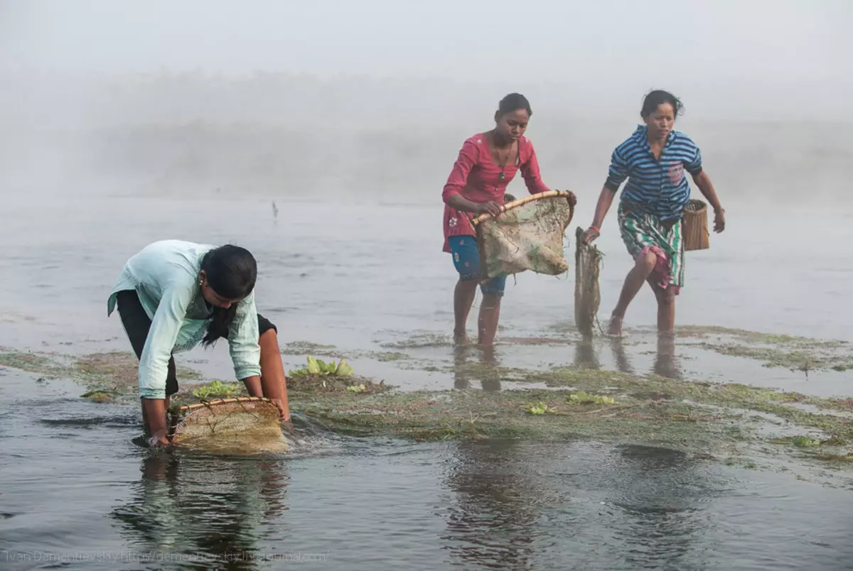 भारत में मछली पकड़ने की विशेषताएं 2126_5