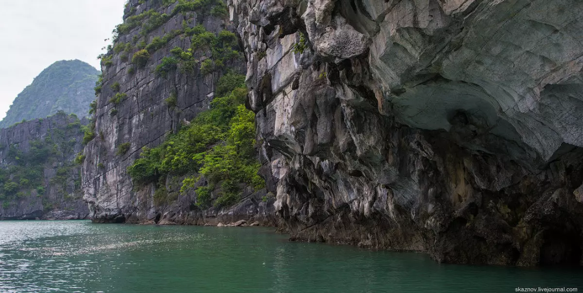 Halong Bay në Vietnam 2190_13