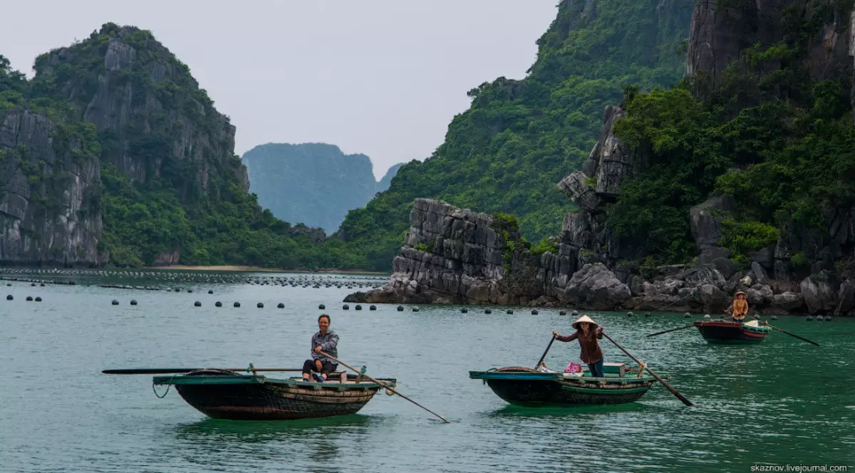 Halong Bucht a Vietnam