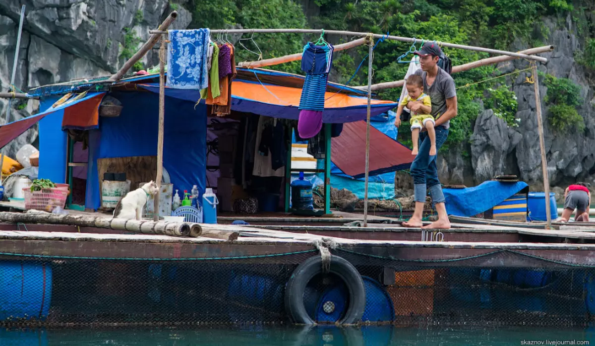 Halong Bucht a Vietnam