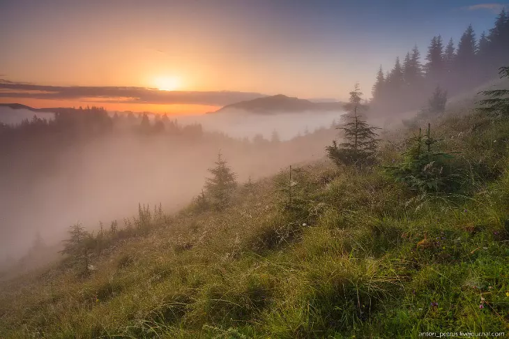 Fogs in the Carpathians 2222_1