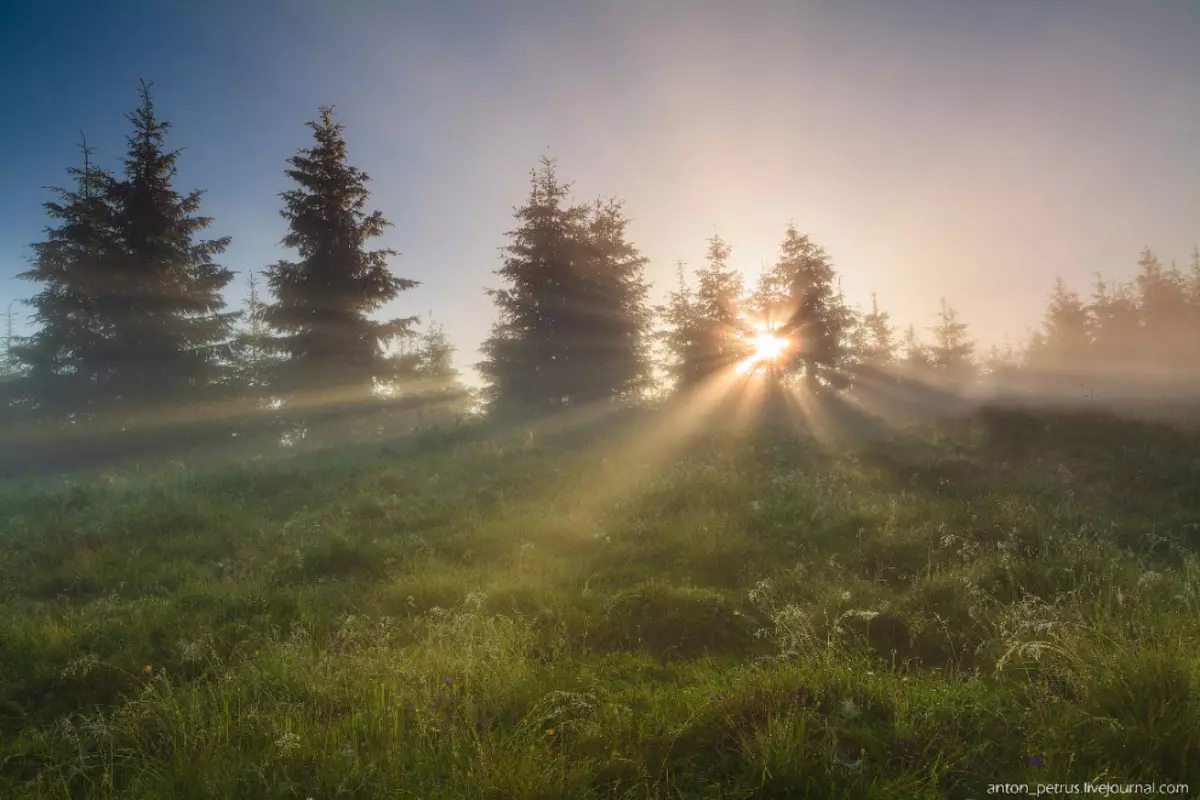 Fogs in the Carpathians 2222_10