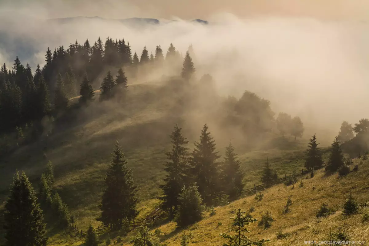 Fogs in the Carpathians 2222_11