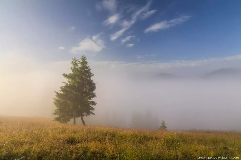 Fogs in the Carpathians 2222_12