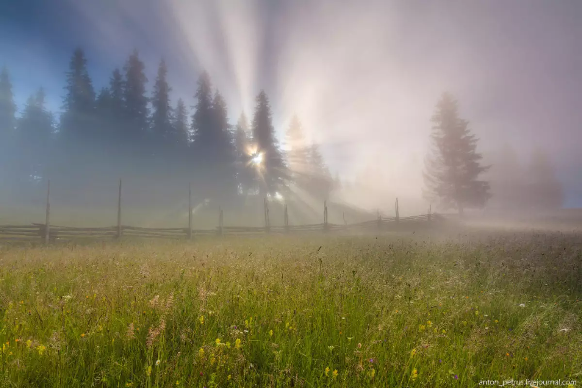 Fogs in the Carpathians 2222_15