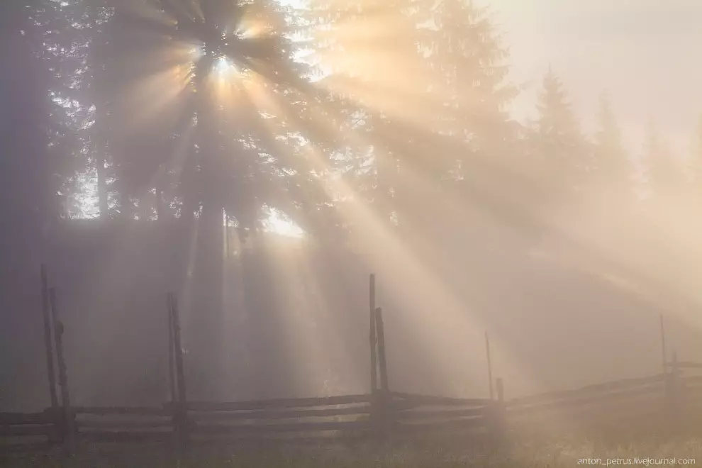 Fogs in the Carpathians 2222_16