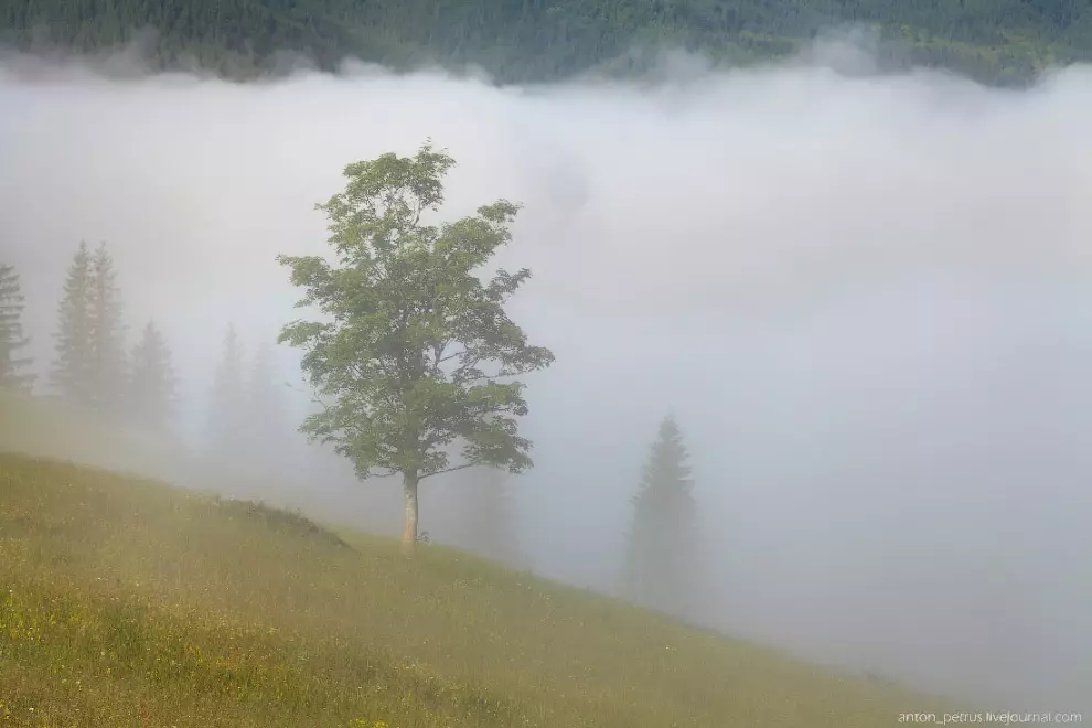 Fogs in the Carpathians 2222_17