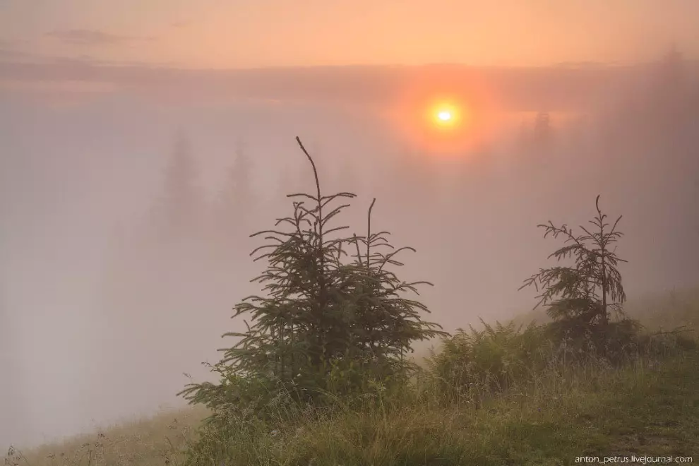 Fogs in the Carpathians 2222_3