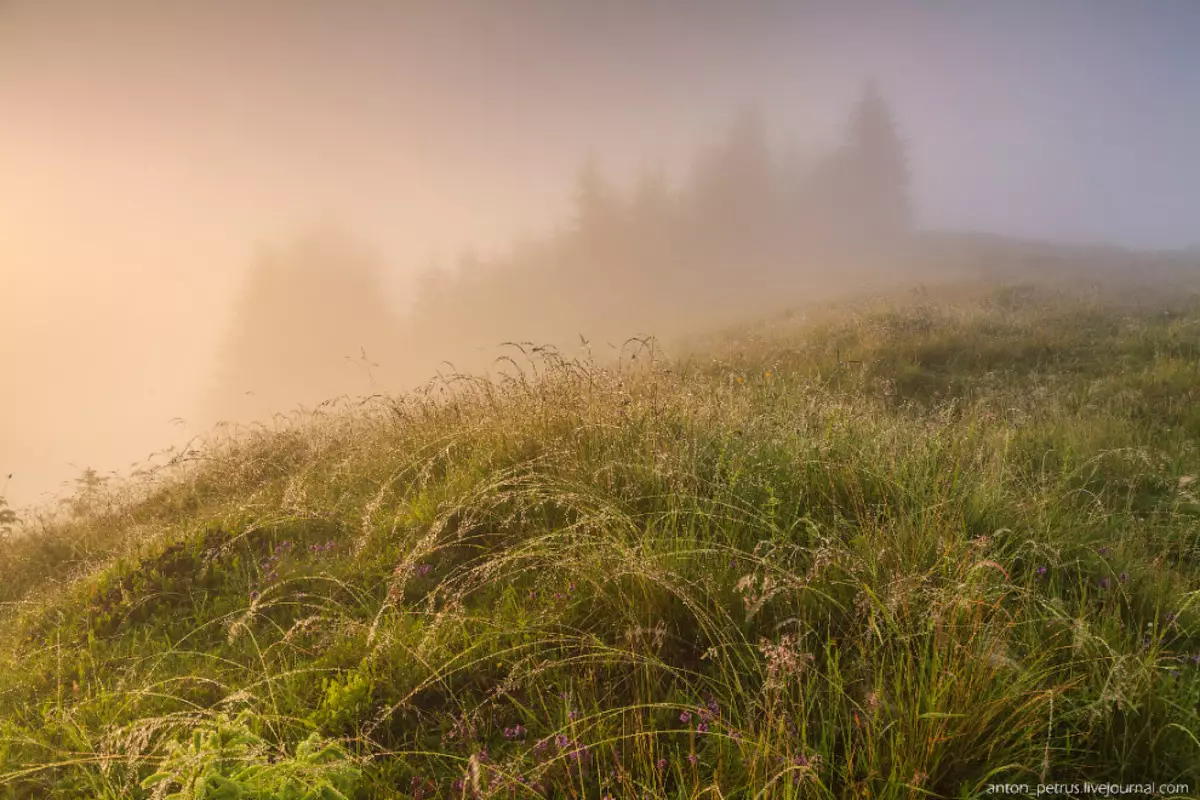 Fogs in the Carpathians 2222_5