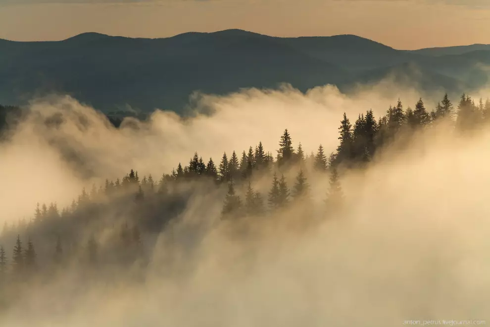 Fogs in the Carpathians 2222_6