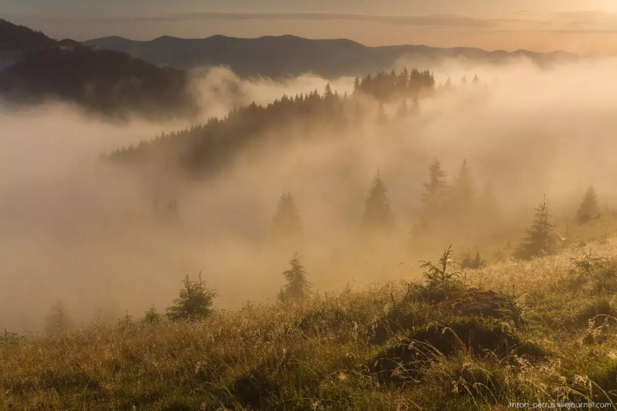 Fogs in the Carpathians 2222_7