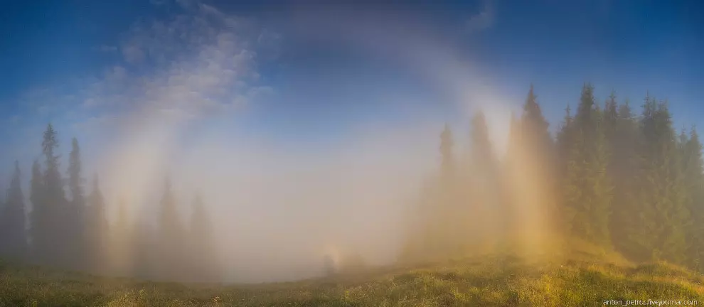 Fogs in the Carpathians 2222_8