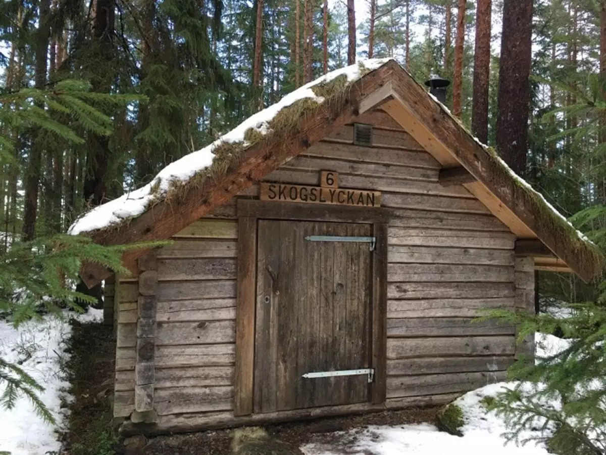 Bližje naravi: najlažji (če ne reči, primitivni) hotel v gozdu 2234_4