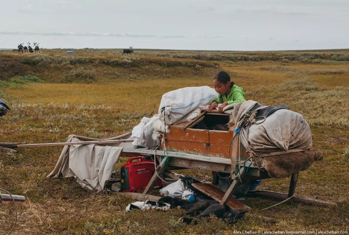 Utara Rusia: Kehidupan di Peternak Rusa di Tundra 2344_18