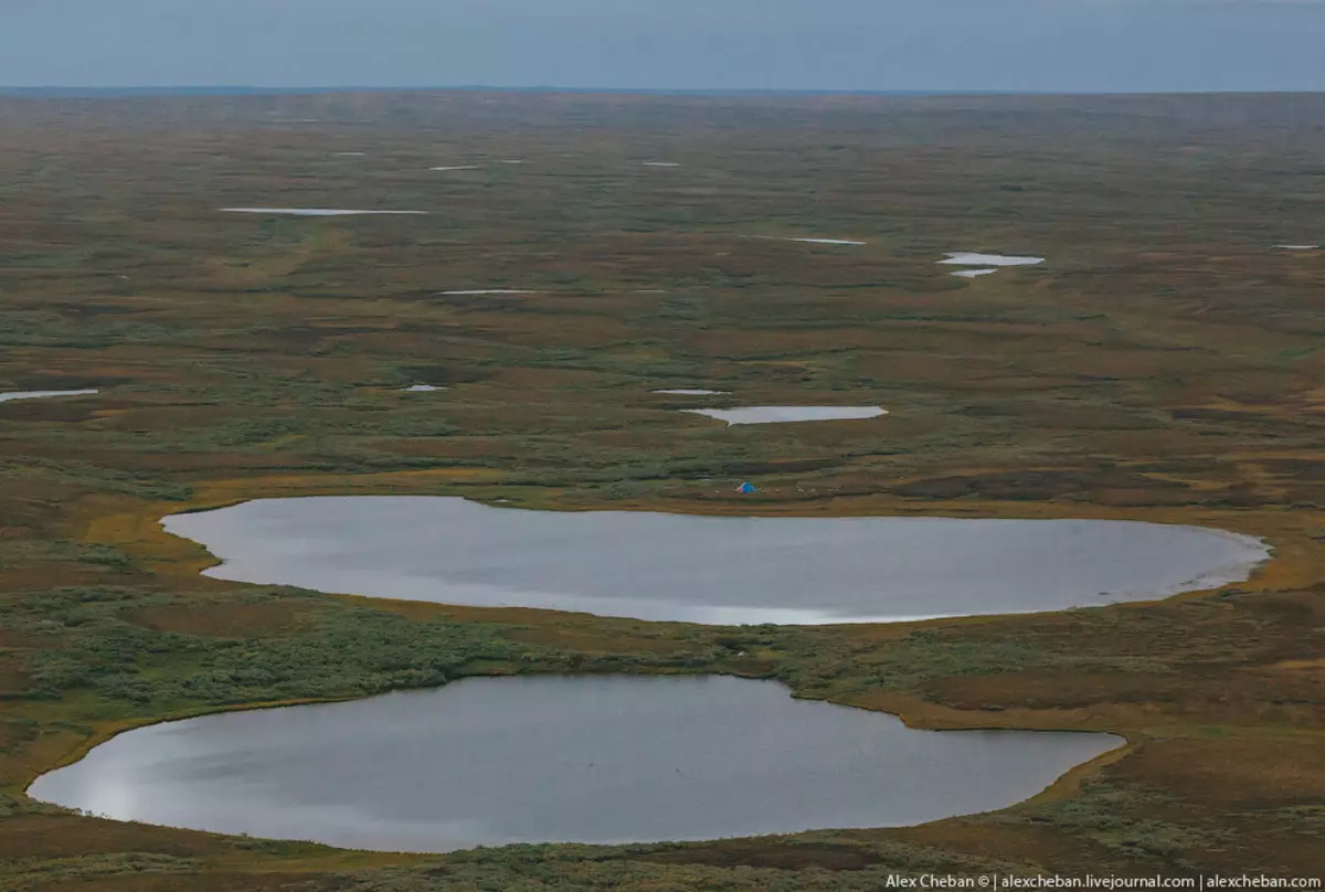 Utara Rusia: Kehidupan di Peternak Rusa di Tundra 2344_3