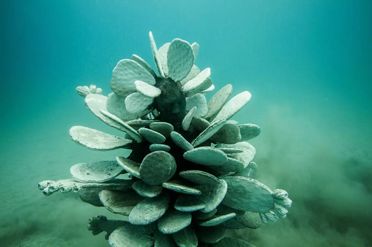 Pêşîn li Ewropa Underwater Museum Atlantico 2498_12