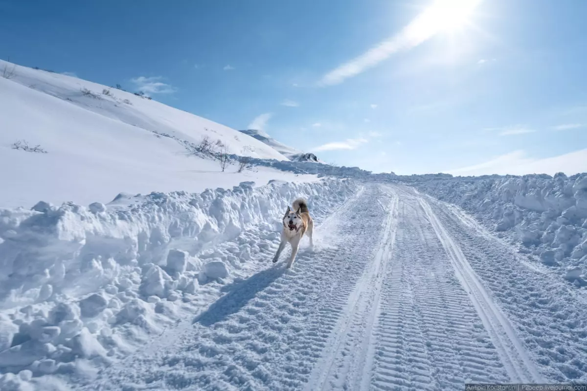 Journey To Vilyuchinsky Volcano