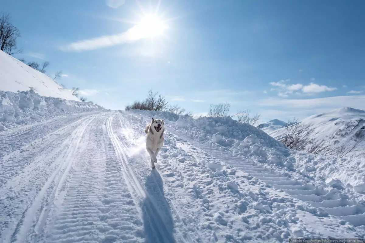 Journey To Vilyuchinsky Volcano