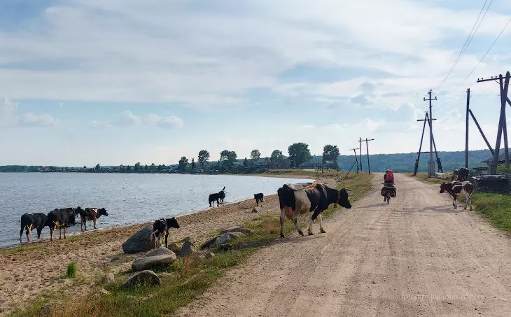 Vene põhja pool Kenozerieri 2518_2