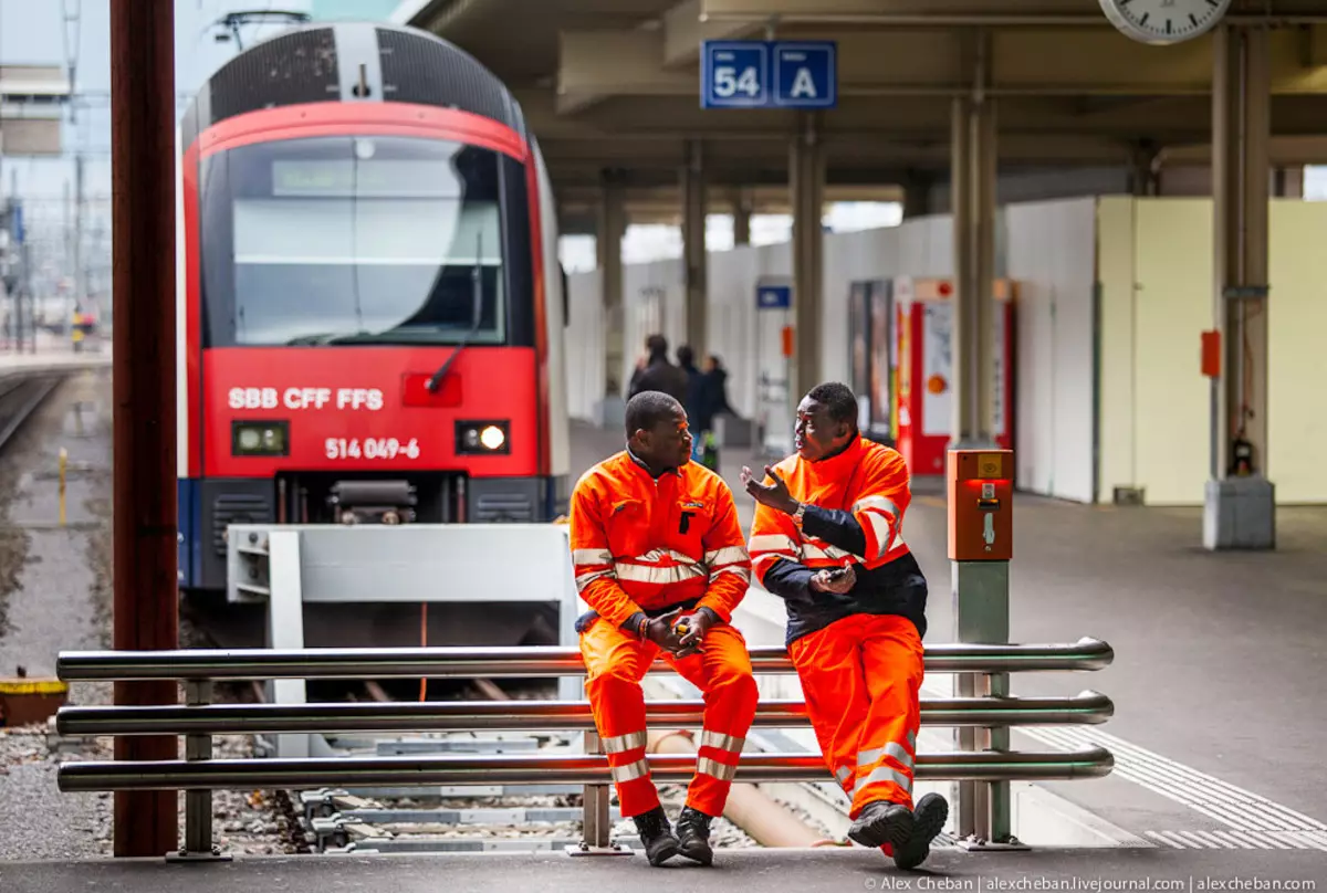 Los ferrocarriles más hermosos del mundo: Suiza. 2592_5