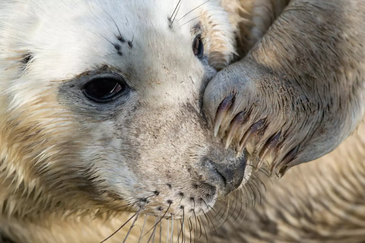 County Seals Lincolnshire 3023_8