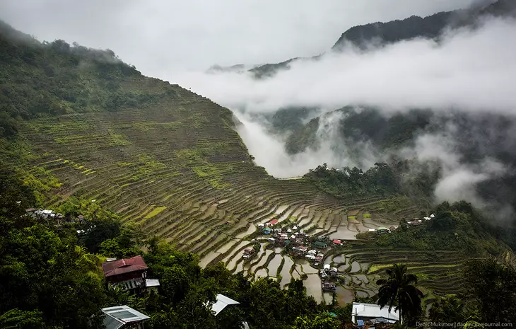 Rice Terraces Banowee. 3039_1