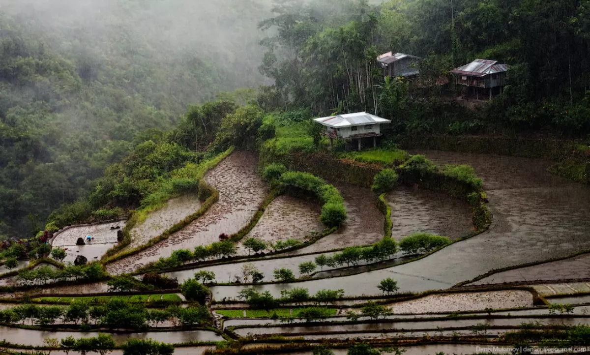 Rice Terraces Banowee. 3039_10