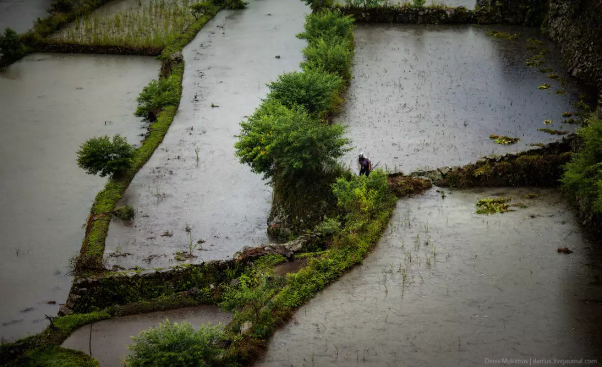 Rice Terraces Banowee. 3039_12