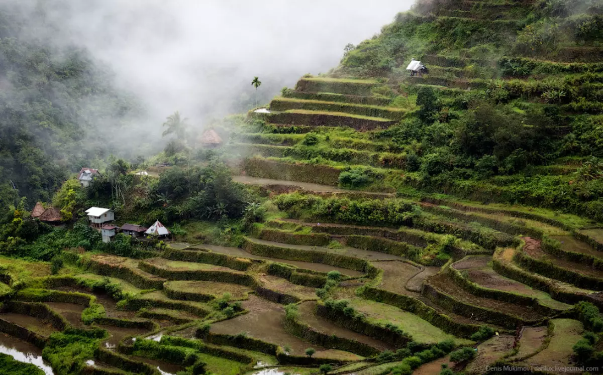 Rice Terraces Banowee. 3039_15