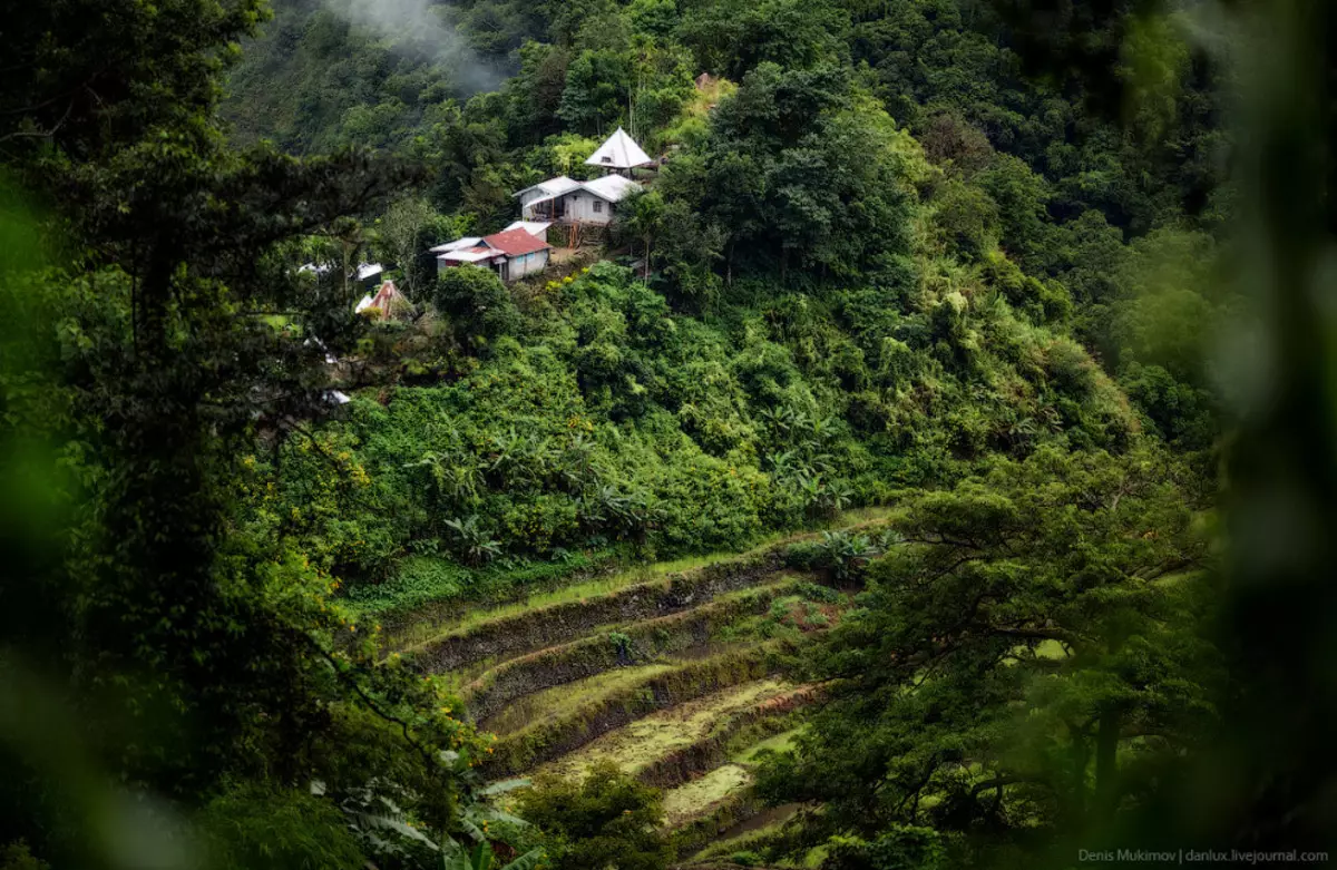 Rice Terraces Banowee. 3039_16