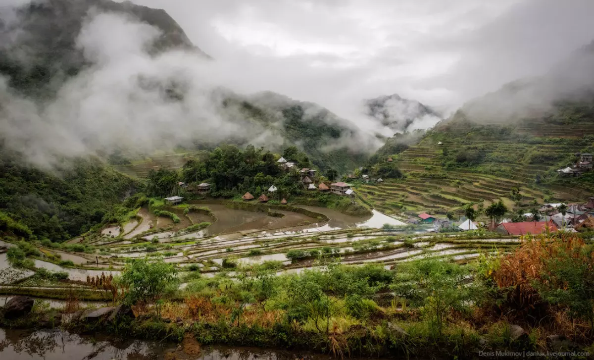 Rice Terraces Banowee. 3039_17