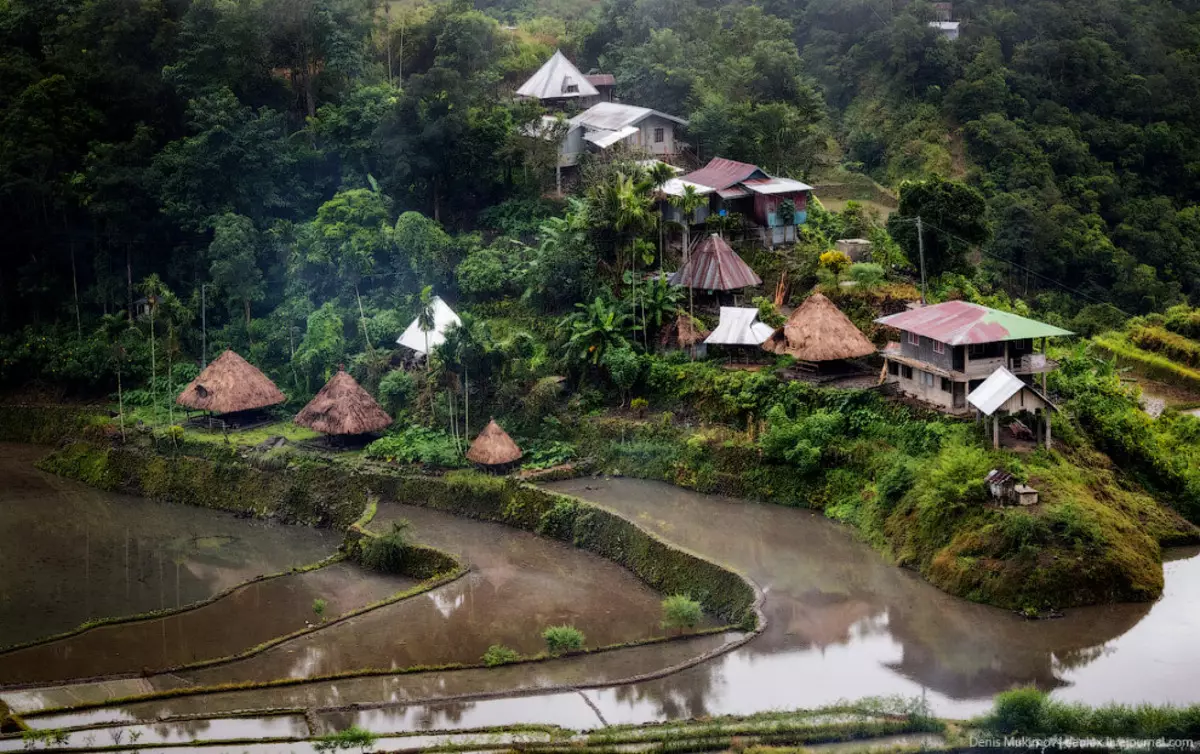 Rice Terraces Banowee. 3039_18