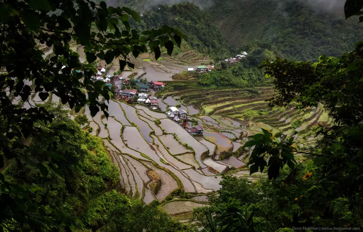 Rice Terraces Banowee. 3039_2