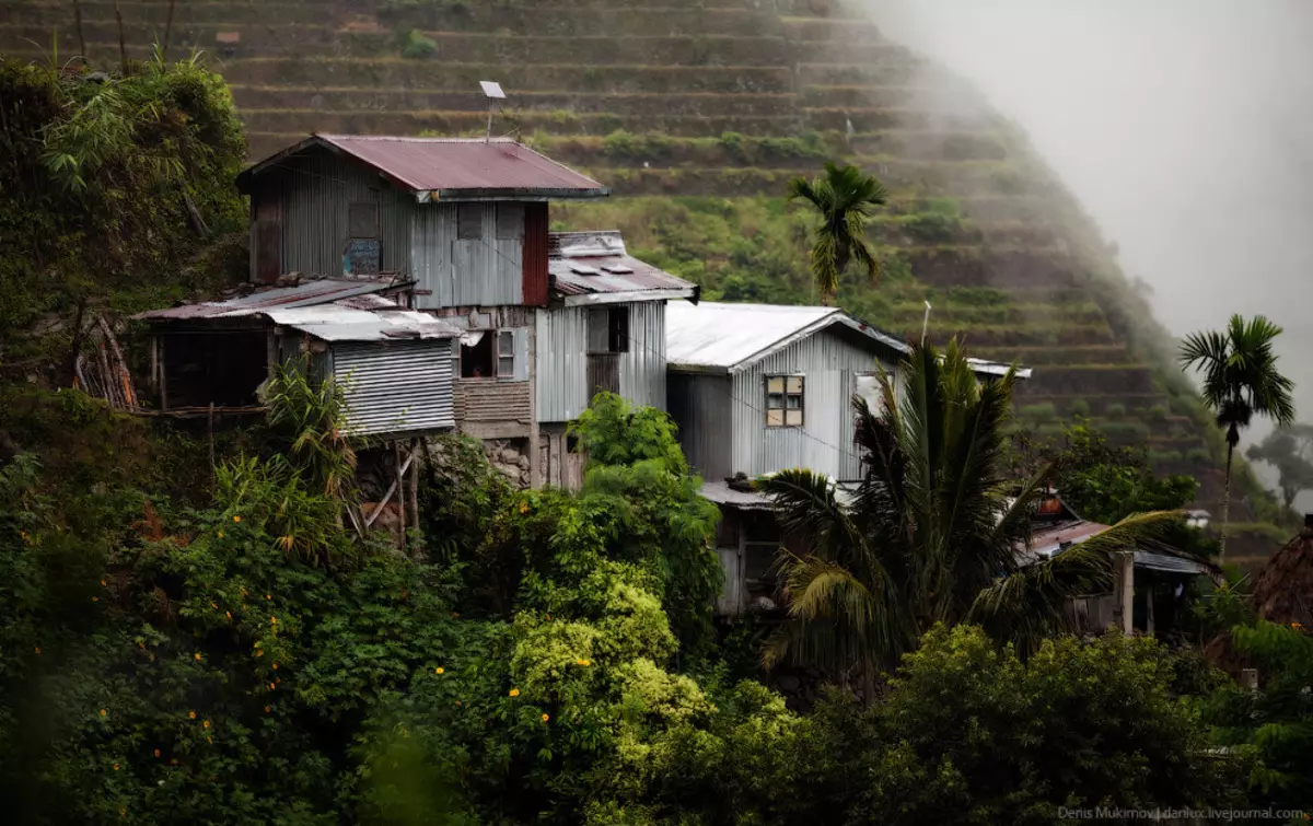 Rice Terraces Banowee. 3039_20