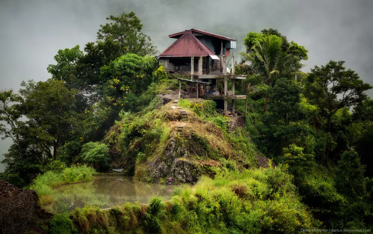 Rice Terraces Banowee.