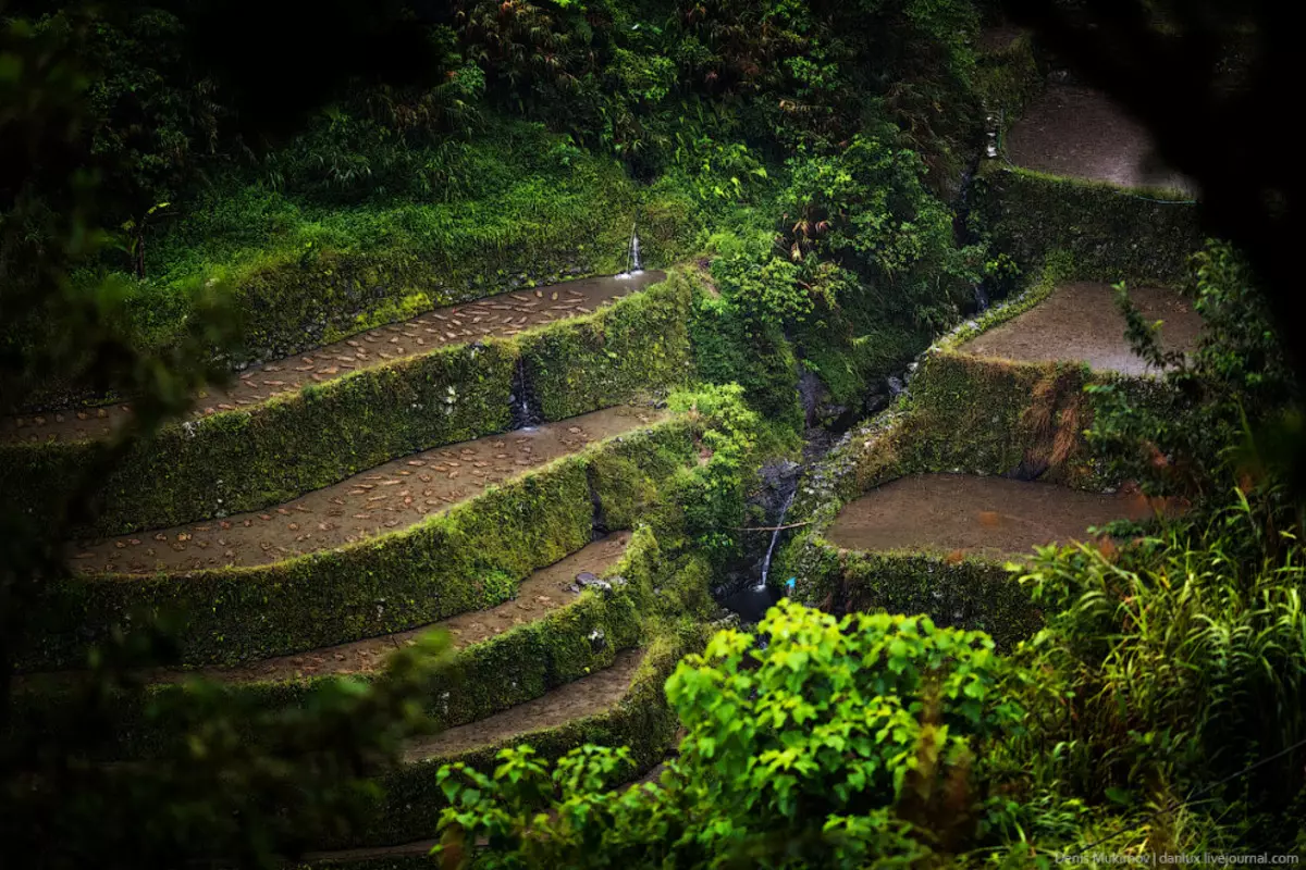 Rice Terraces Banowee.