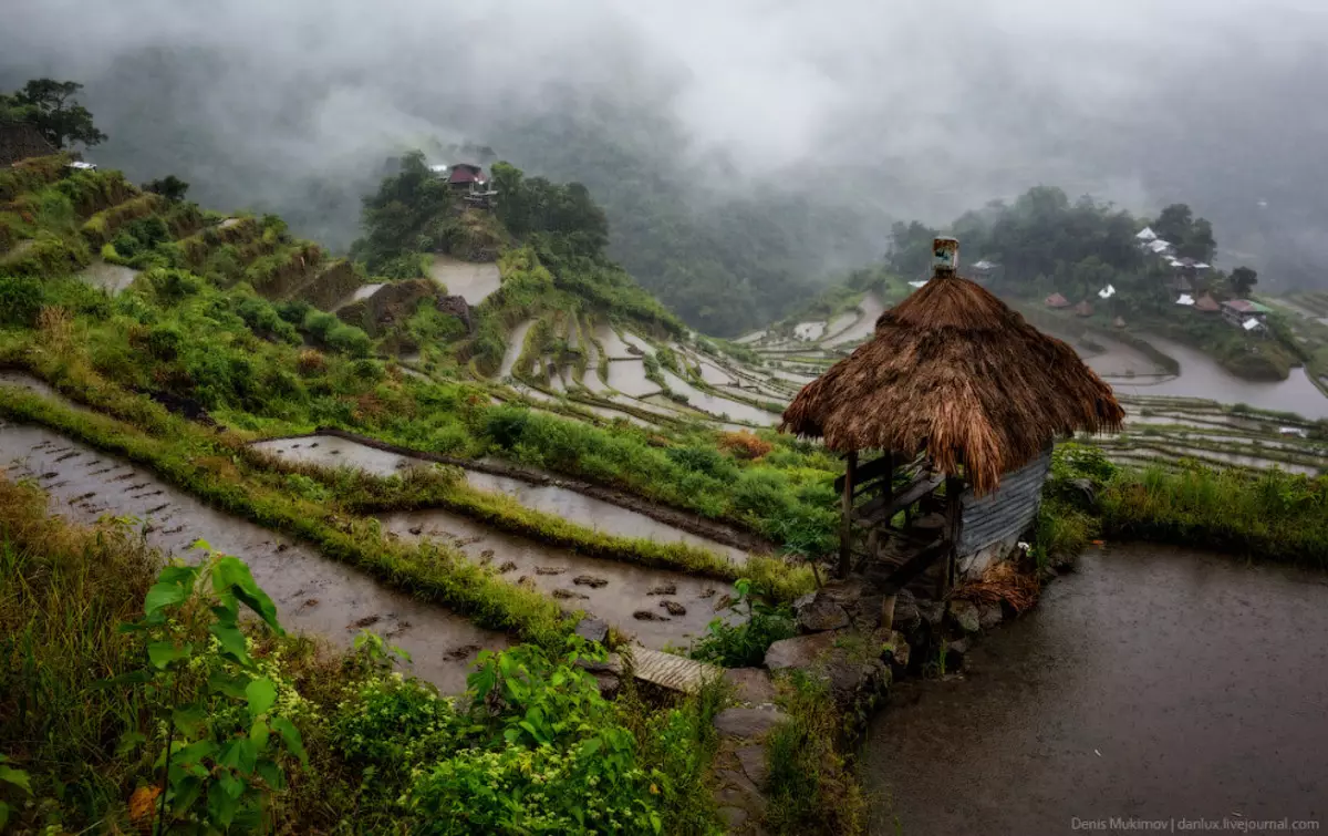 Rice Terraces Banowee. 3039_4